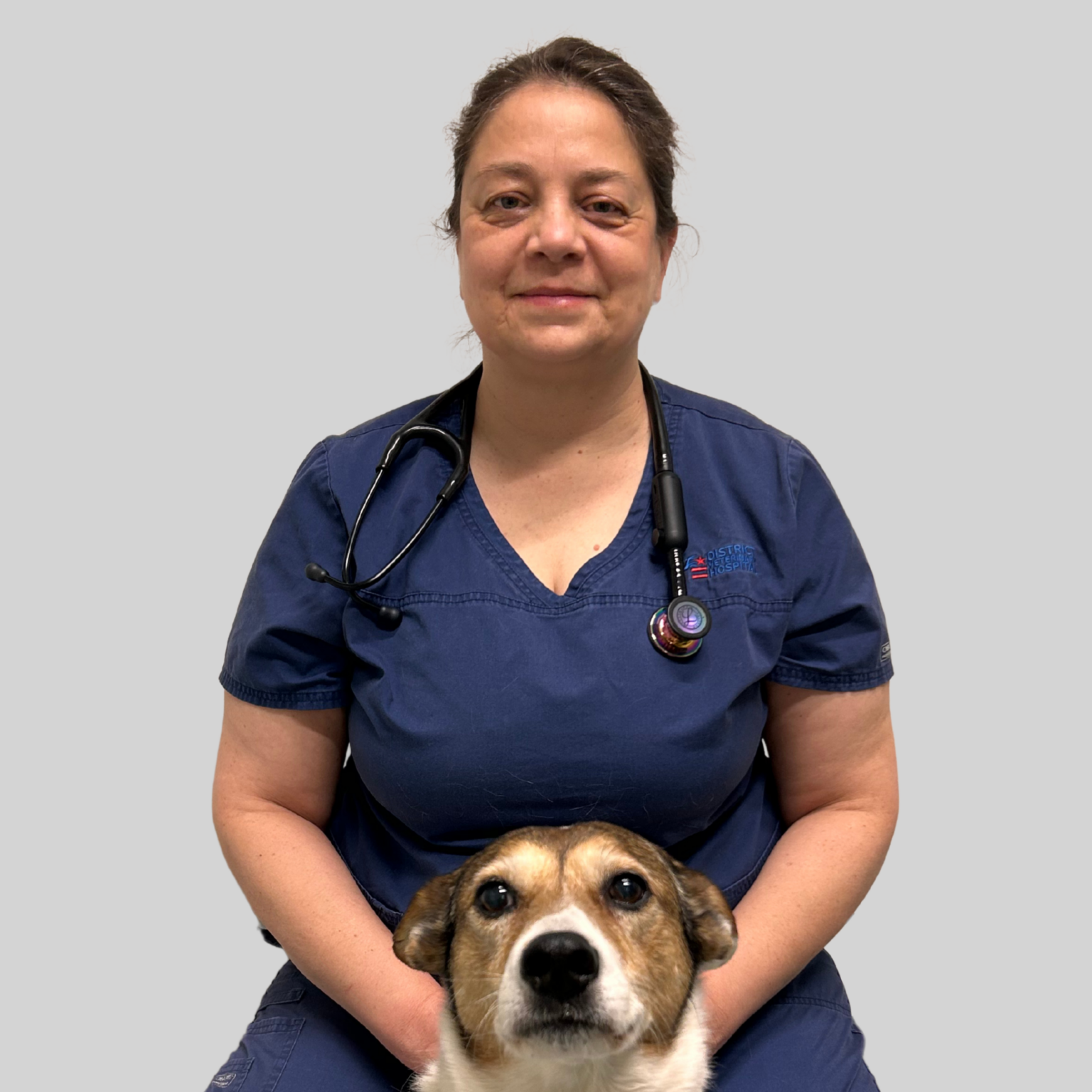Dr. Jamieson Nichols | District Veterinary Hospital in Washington, D.C.